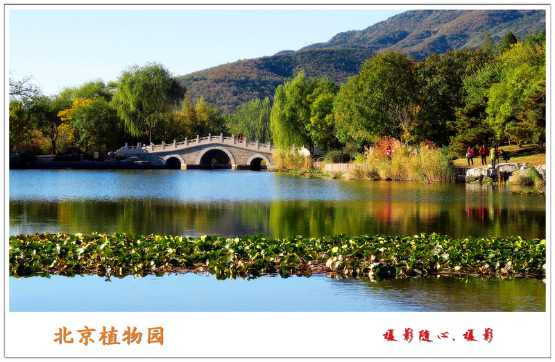 植物园的秋色 第9页-中关村在线摄影论坛