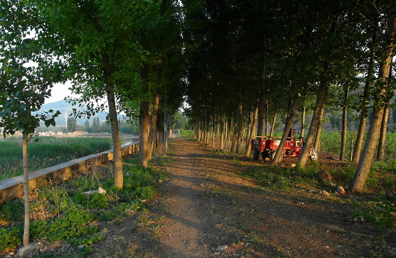 EX1-『身边的光影』123...12p 第18页-中关村在线摄影论坛