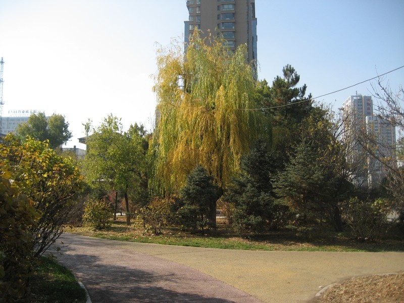 YYYYYYYYYYYYYYYYYYYY-中关村在线摄影论坛