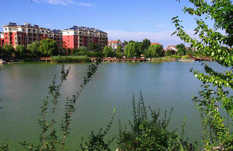 『炎炎夏日』123...13p 第4页-中关村在线摄影论坛