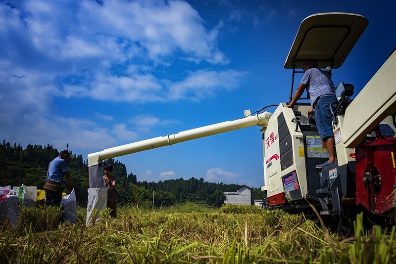 秋收-中关村在线摄影论坛