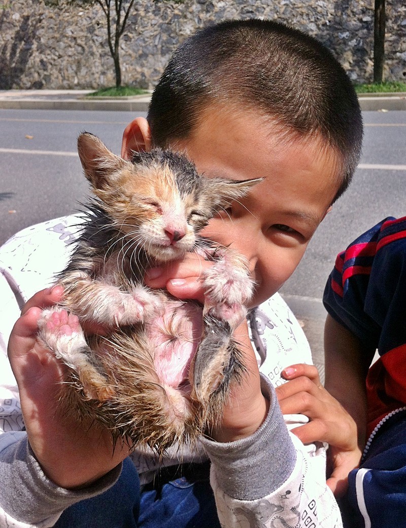 ip4杂拍-中关村在线摄影论坛