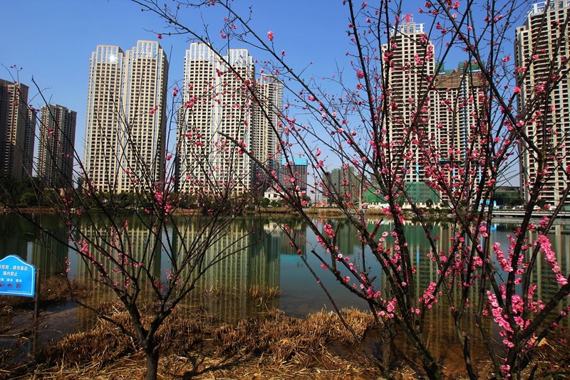 风景一组-中关村在线摄影论坛