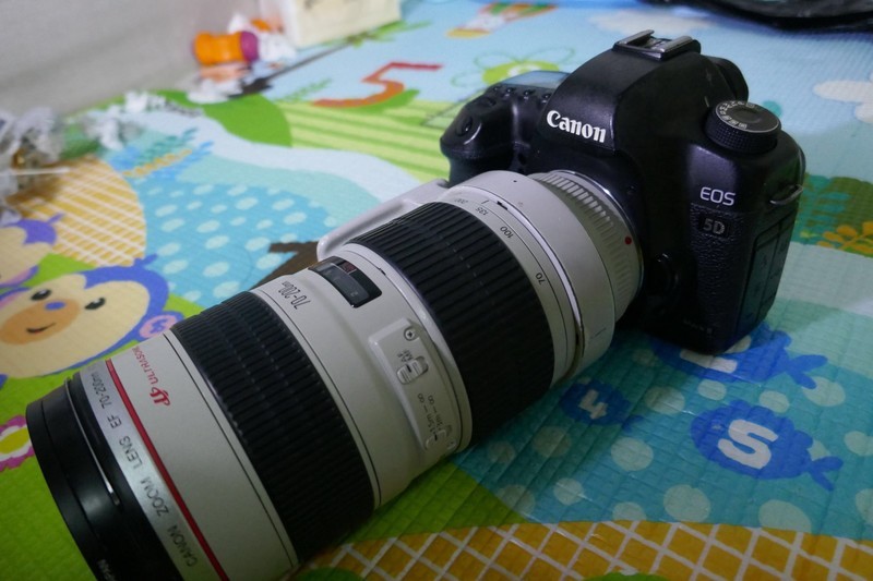 佳能5d2虽老，但还是能满足我的需求-中关村在线摄影论坛