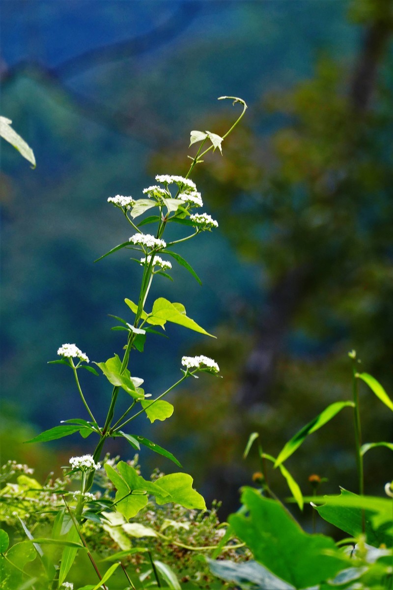 大山小景-中关村在线摄影论坛