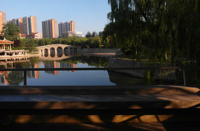 EX1-『夏日清晨遛弯速写』123...12p-中关村在线摄影论坛