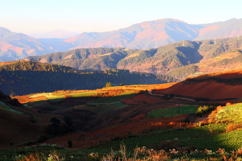 彩云之南-中关村在线摄影论坛