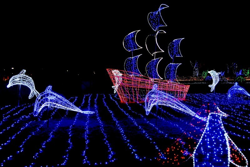 好久未发帖，把元宵节的几张发出去，敬请指导！-中关村在线摄影论坛