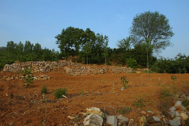 EX1-『品味乡土气息』123...15P-中关村在线摄影论坛