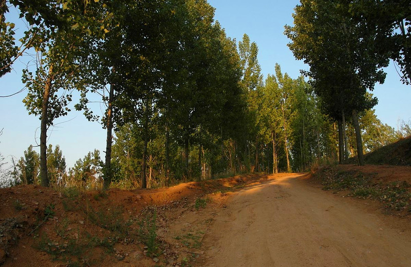 EX1-『夏日寻常的光影』123...13P-中关村在线摄影论坛