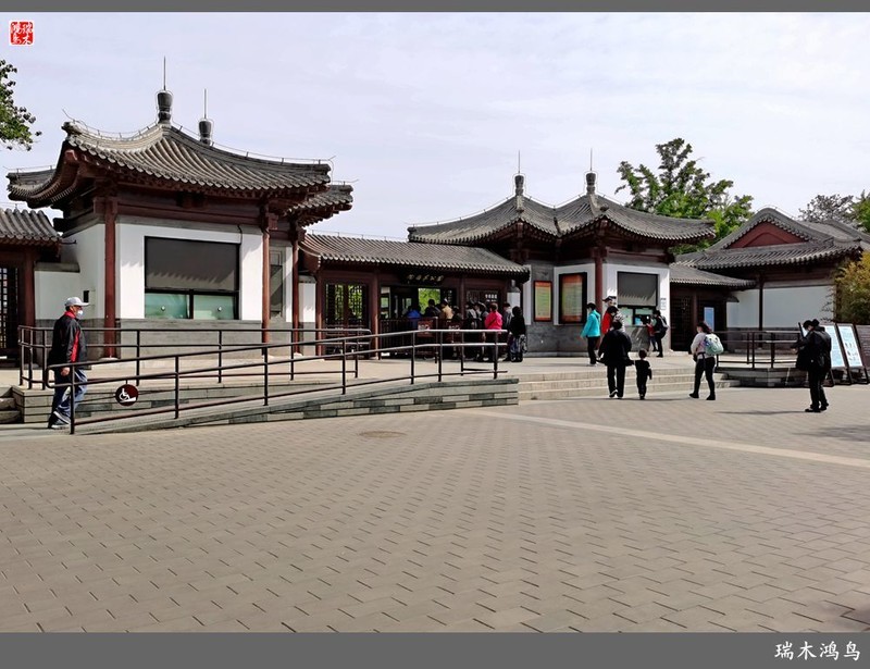 【春天的记忆】春意盎然就在陶然-中关村在线摄影论坛