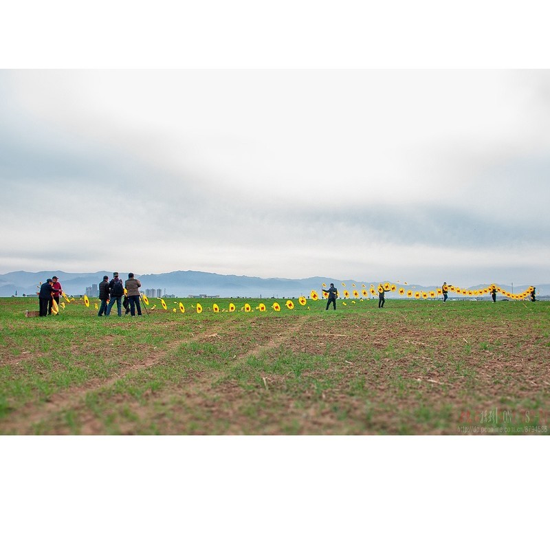 放大龙-中关村在线摄影论坛
