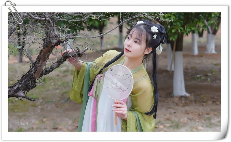 发一帖庆祝一下今天如愿当了“腾龙A058---35-150mm f/2-2.8 Di III VXD”镜头版主 第3页-中关村在线摄影论坛