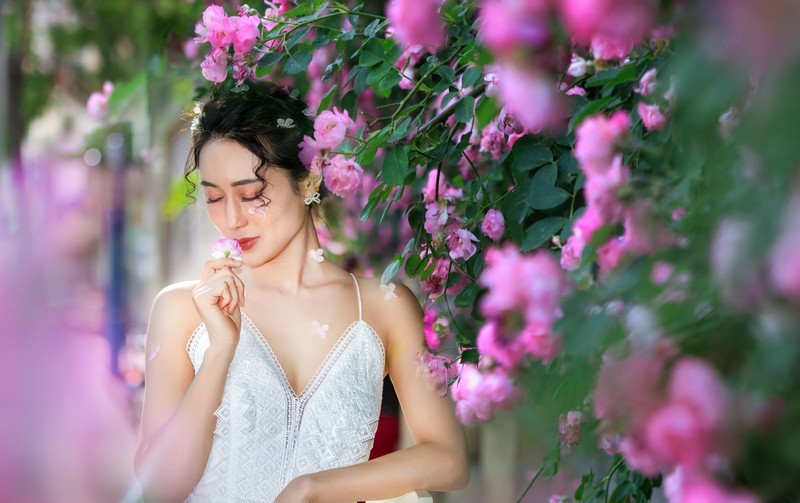 #春末夏初#蔷薇花语-中关村在线摄影论坛