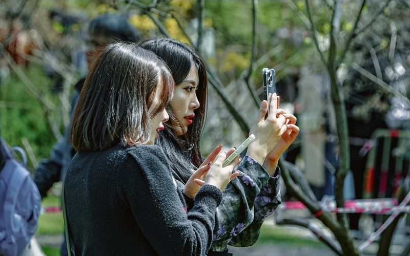 春日游走玉渊潭20240405 《33》-中关村在线摄影论坛