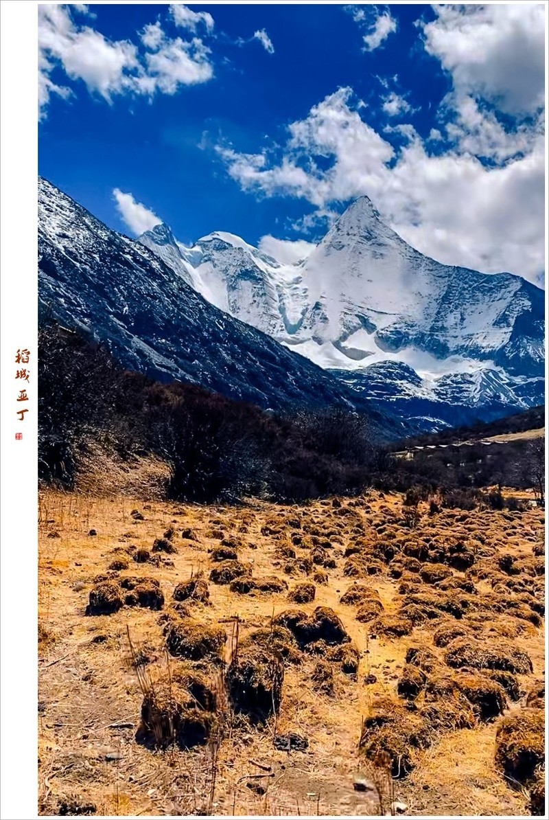 2023年第0263贴-稻城亚丁纪实抓拍（0418F）-中关村在线摄影论坛