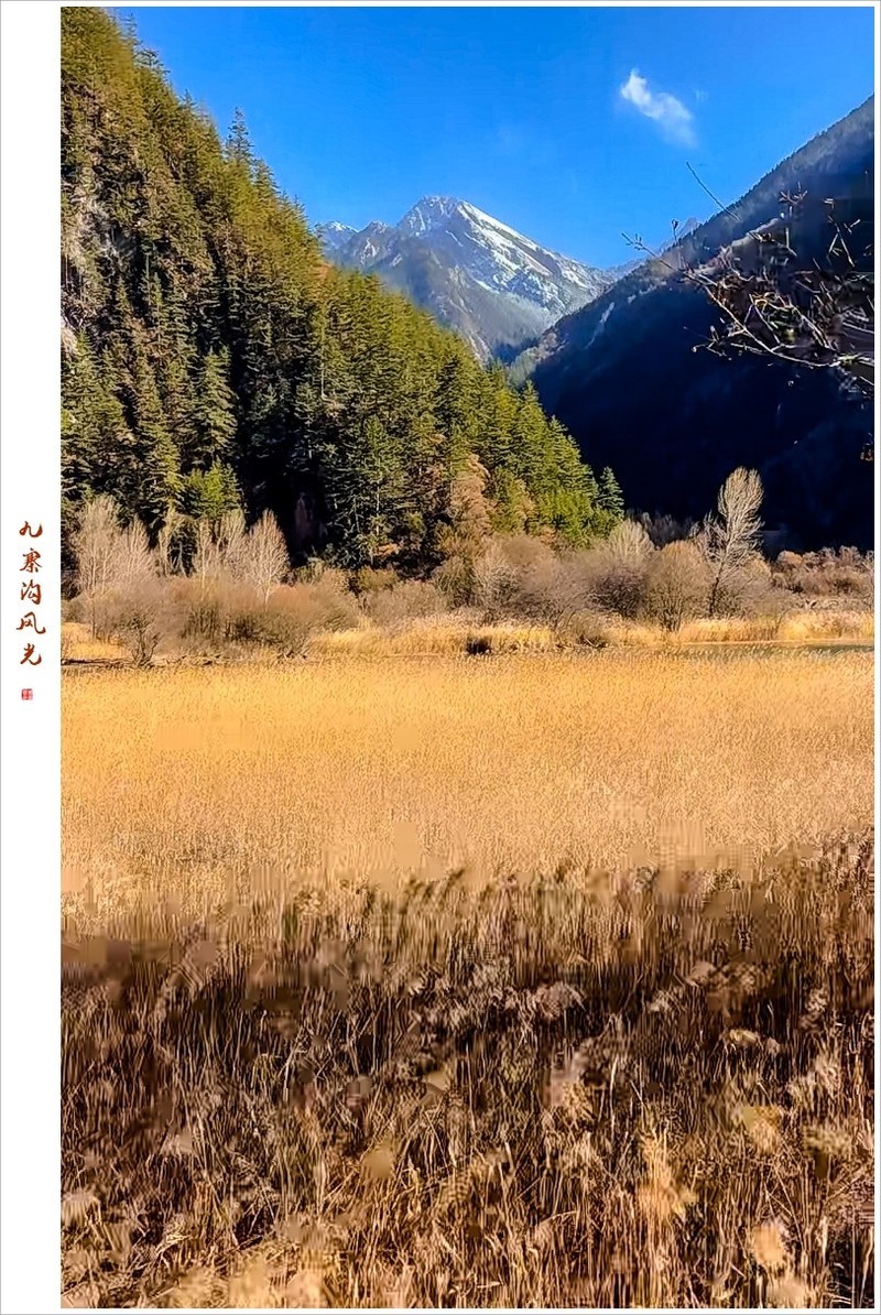 2023年第0186贴-九寨沟风光抓拍集锦（0322F）-中关村在线摄影论坛