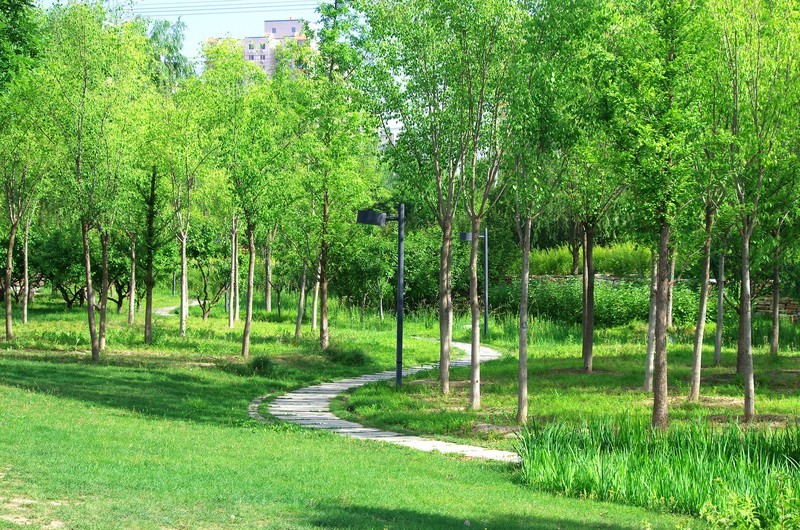 2023 ——55 3 再拍庭院小景-中关村在线摄影论坛