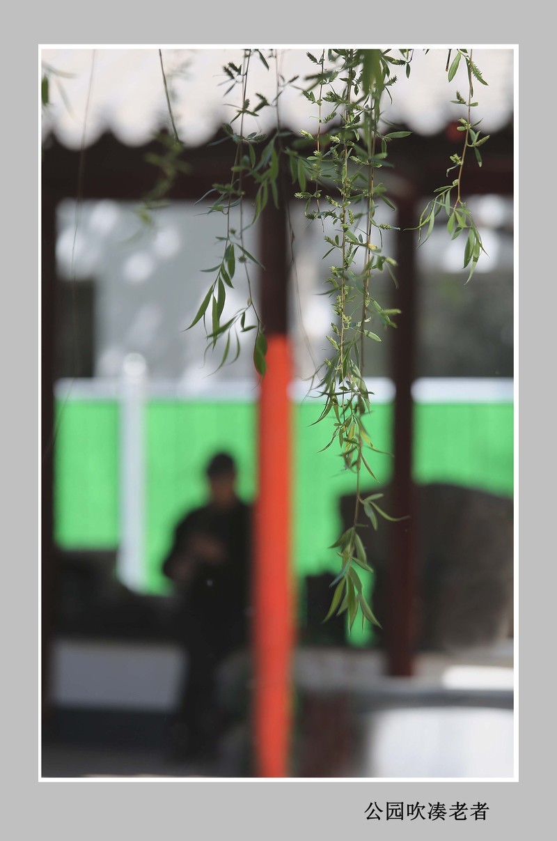 《每日欣赏》！！！-中关村在线摄影论坛