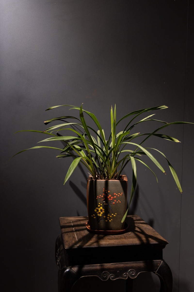 插花书画展（2）-中关村在线摄影论坛