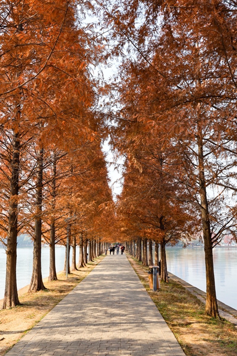 初冬的烈士公园-中关村在线摄影论坛