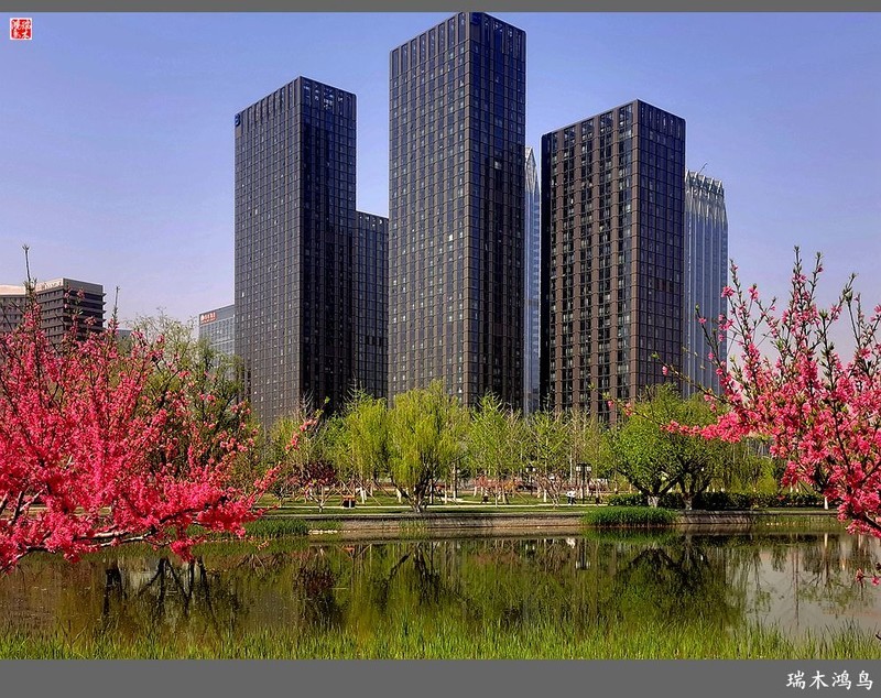 【说古话今大运河】西海子春色-中关村在线摄影论坛