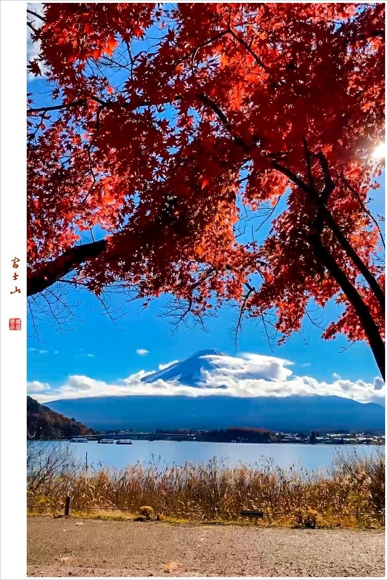 2022年第980贴-富士河口湖町抓拍-341（1129F）-中关村在线摄影论坛