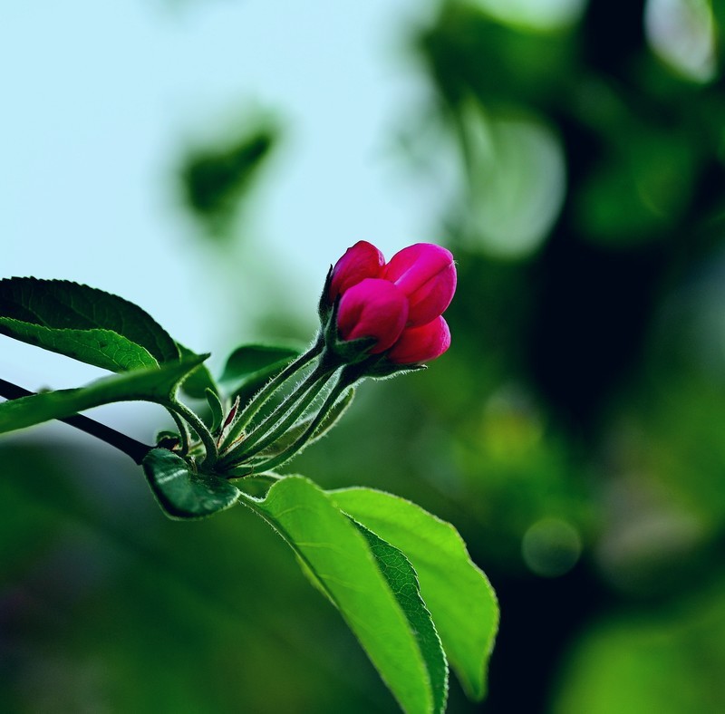 z24-120试镜-中关村在线摄影论坛