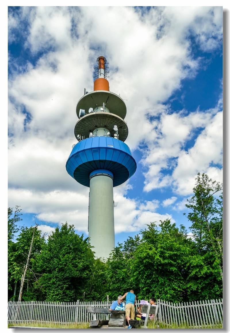 夏游观光“黑森林”-中关村在线摄影论坛