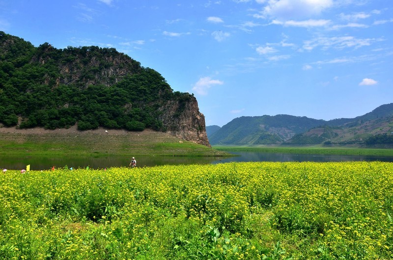 自驾游——绿江村花海（4） 第2页-中关村在线摄影论坛