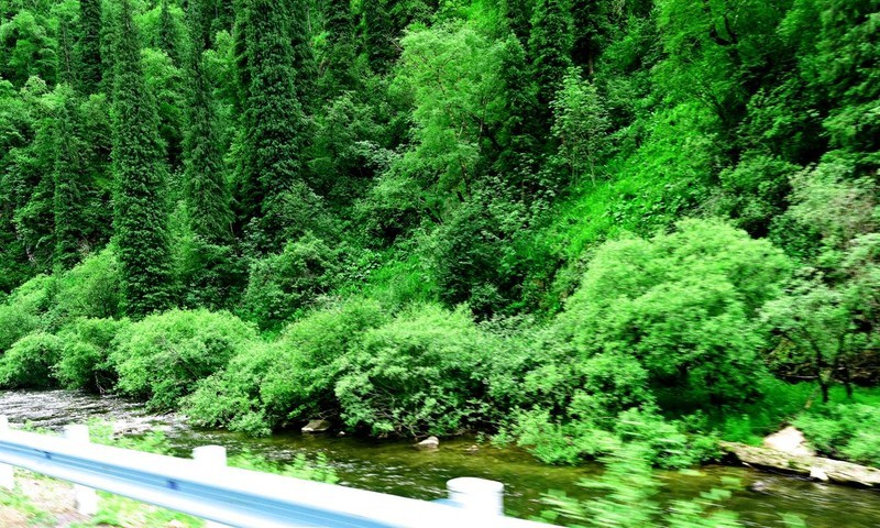 北 疆 游 [去 巴 音 布 鲁 克 大 草 原 ] { 38 }-中关村在线摄影论坛