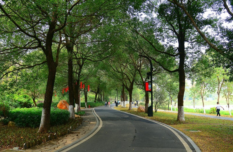 阴天-湖景。-中关村在线摄影论坛