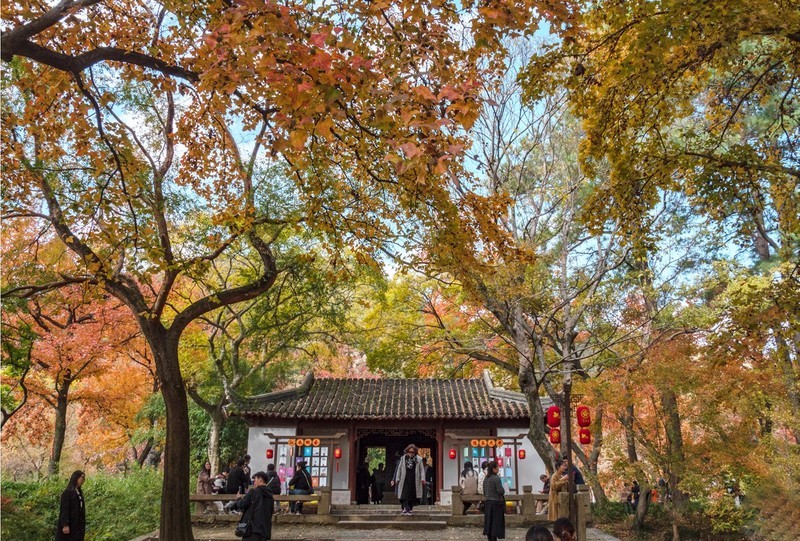 江南秋日--苏州天平山（5） 第2页-中关村在线摄影论坛