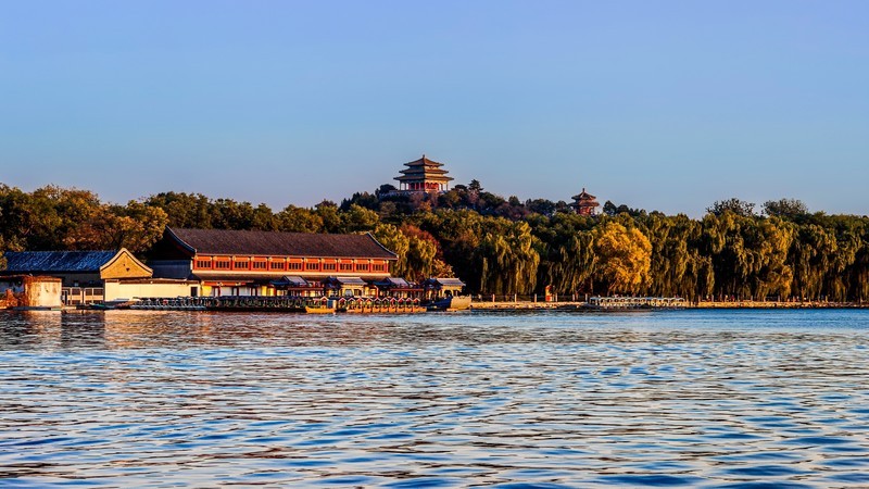 手机游拍20241105《26》-中关村在线摄影论坛