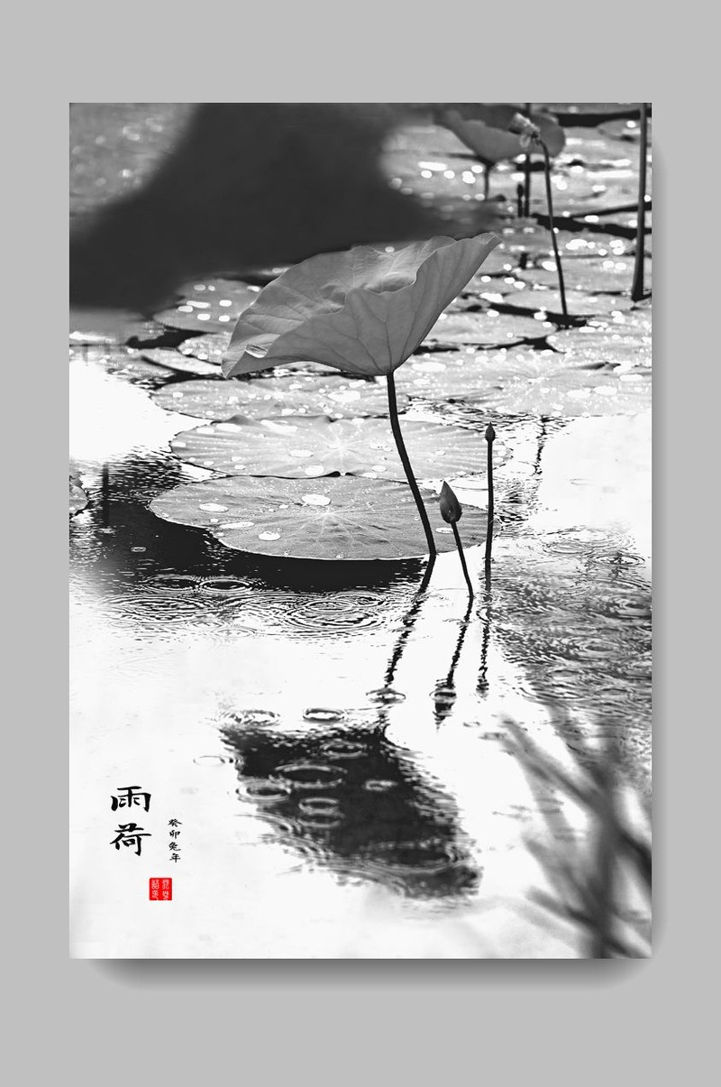 《每日欣赏》!!! 中关村在线摄影论坛