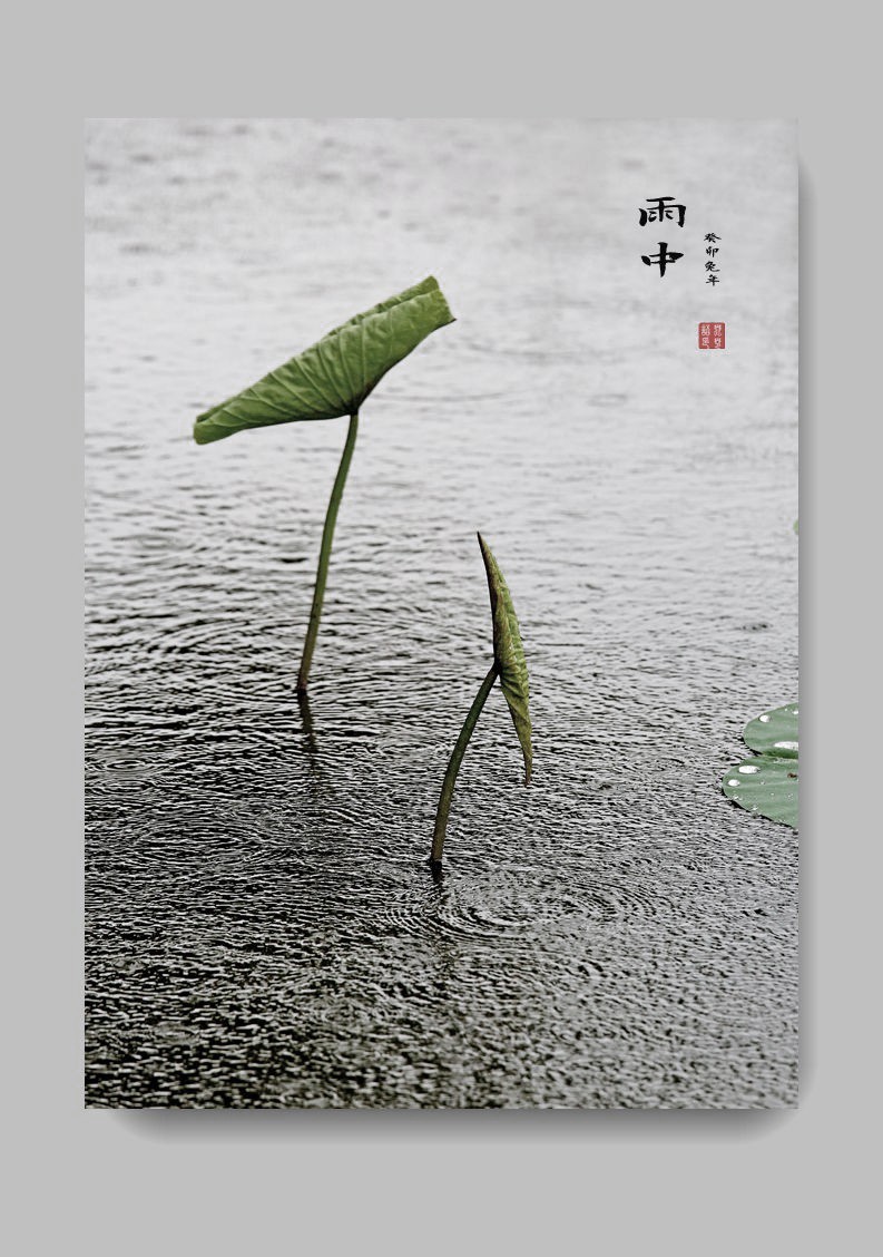 《每日欣赏》！！！-中关村在线摄影论坛