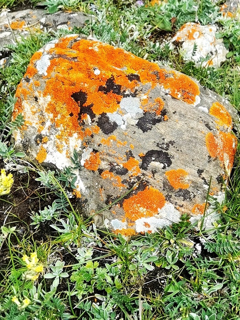 央隆乡河畔的红石头【下】-中关村在线摄影论坛