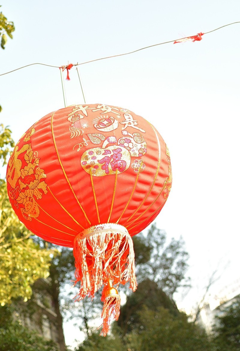 2024年前小区随拍-中关村在线摄影论坛