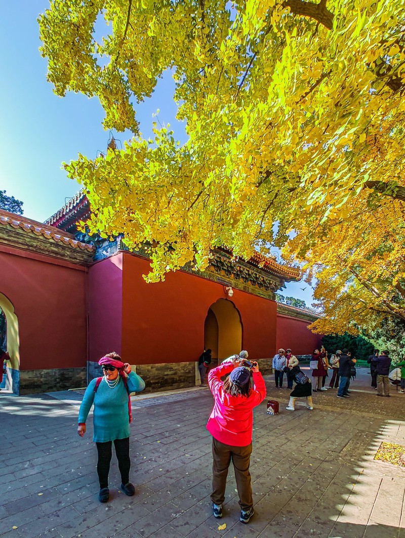 手机游拍20241105 《3》-中关村在线摄影论坛