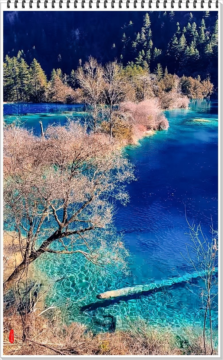 2024年-九寨沟风光纪实抓拍-0410-中关村在线摄影论坛