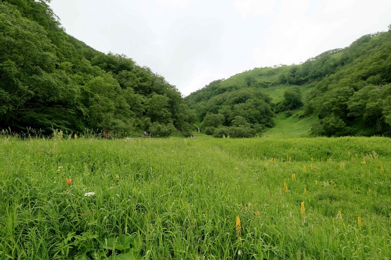 2023年拍长白山岳桦双瀑 第2页-中关村在线摄影论坛