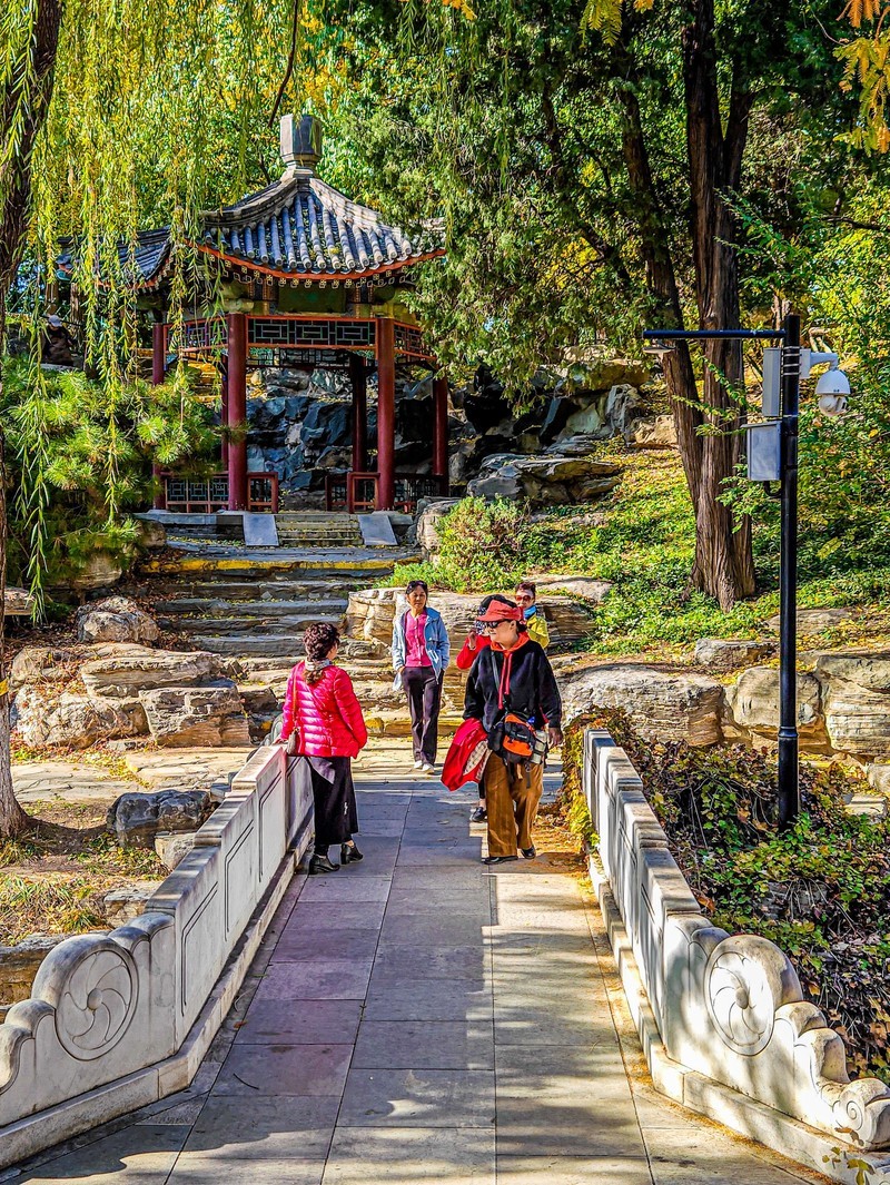 手机游拍20241105《27》 第2页-中关村在线摄影论坛