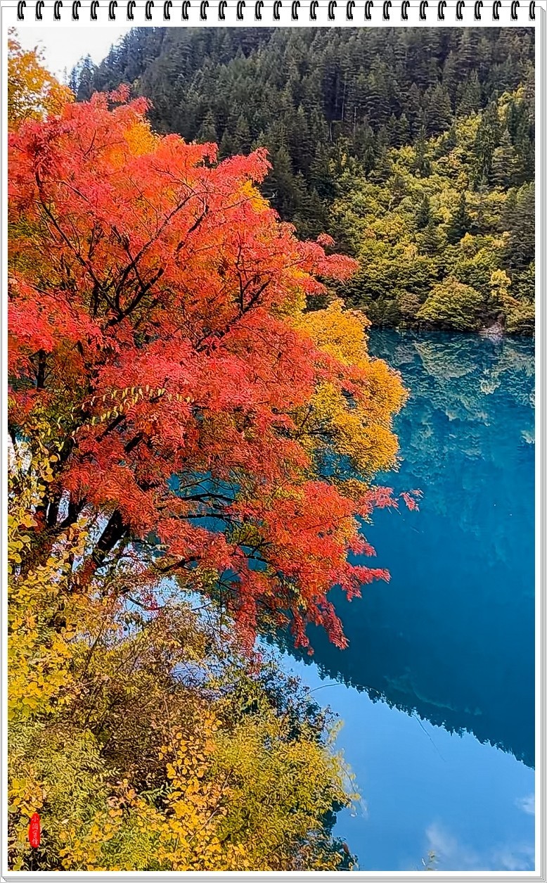 2024年- 九寨沟风光纪实抓拍-0951-中关村在线摄影论坛