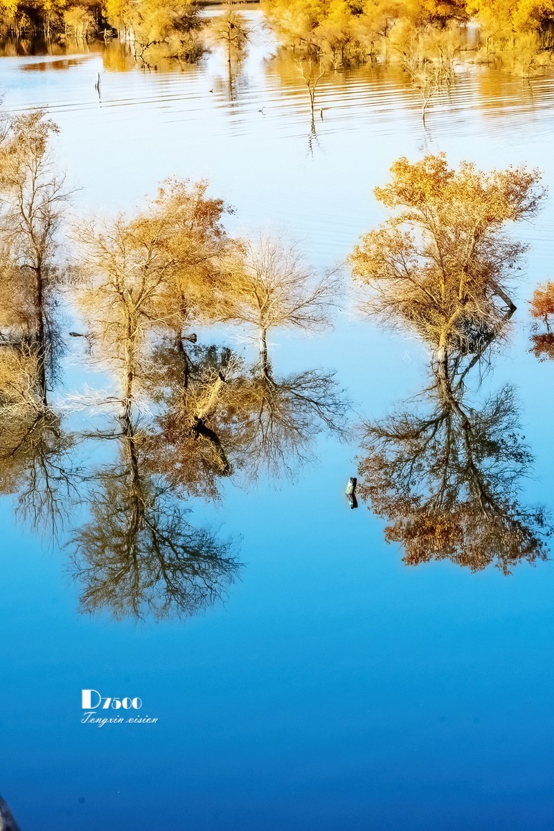 南疆行——尉犁葫芦岛的风景（3）-中关村在线摄影论坛