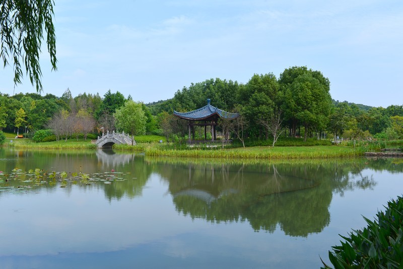 秋园游拍（续3）-中关村在线摄影论坛