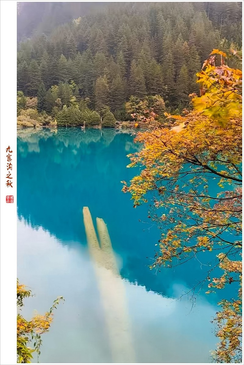 2022年第862贴-九寨沟云拍-271（1019F）-中关村在线摄影论坛