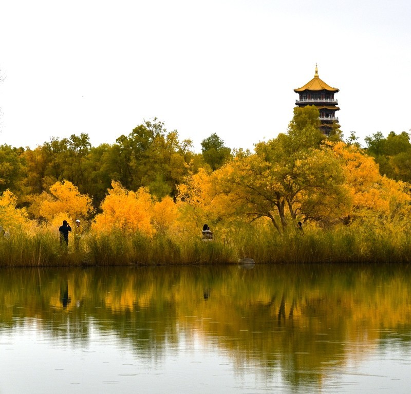 尼康z62随拍-中关村在线摄影论坛