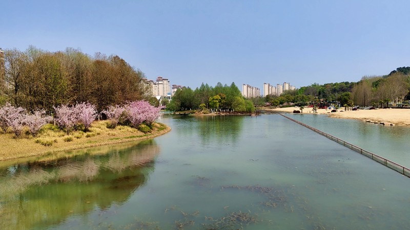 公园春景（6）-中关村在线摄影论坛