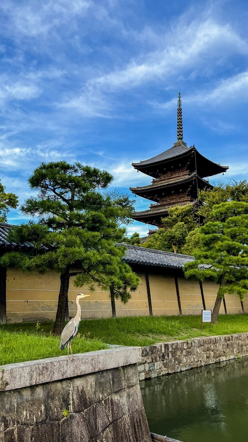 2023年第0763贴-人文风光纪实抓拍（1009）-中关村在线摄影论坛