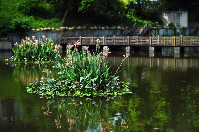 GF110/2试镜。-中关村在线摄影论坛